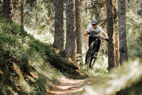 Roc d'Azur 2025 : programme, horaires, toutes les informations